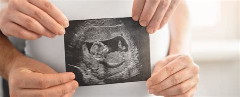 Sex Positions And Gender Prediction What Science Really Says House