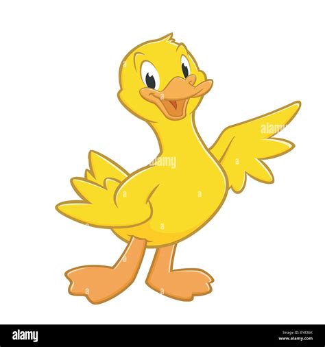 Cartoon Duck Stock Vector Image And Art Alamy