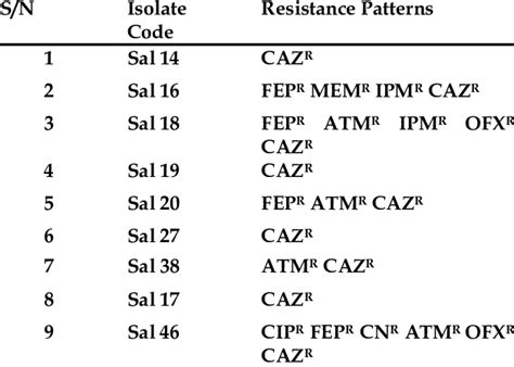 Antibiotic Resistance Patterns Of The Salmonella Isolates Download