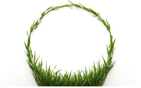 Premium Photo Grass Ring Vibrant Circular Greenery On A White Or