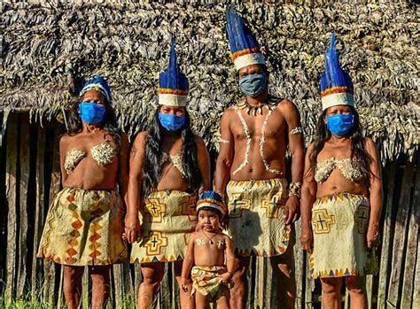 Brazilian Natives Latest News