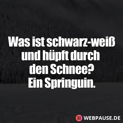 10 Epische Scherze Und Sprüche Zum Totlachen Webpausede
