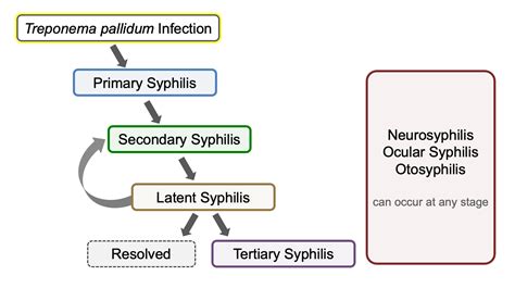 Question Syphilis Question Bank National Std Curriculum