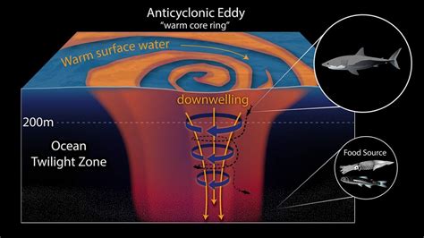 Eddy Current Water