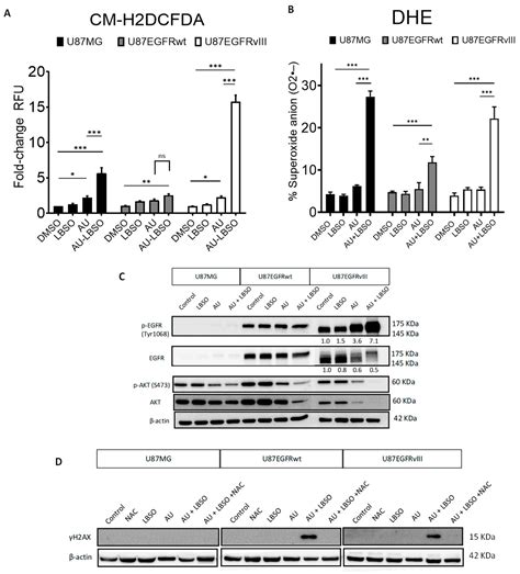 Cancers Free Full Text Pro Oxidant Auranofin And Glutathione