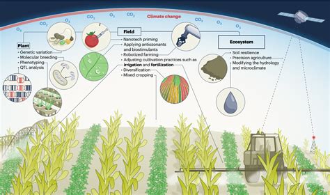 我院冯兆忠教授团队在《nature Food》发表作物生产对气候变化和空气污染的适应性综述论文