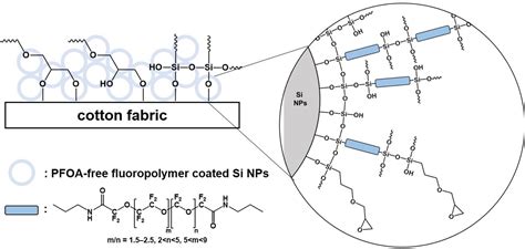 Chemical Makeup Of Cotton Mugeek Vidalondon
