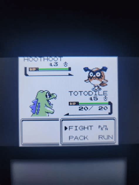 Can You Get Omega Ruby On Switch Pokewolf