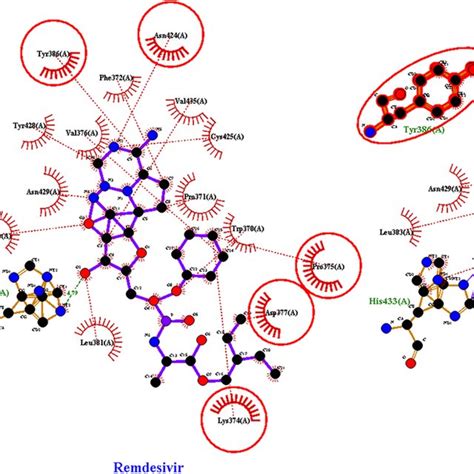 Ligplot Diagrams Of Protein Ligand Interactions For Galaxolide Download Scientific Diagram