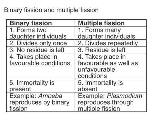 How Does Binary Fission Is Differ From Multiple Fission