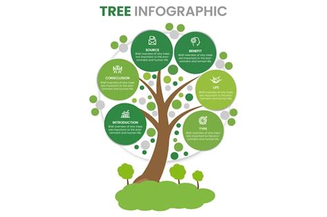 Premium Vector Tree Infographic With Icons Numbers And Placeholder