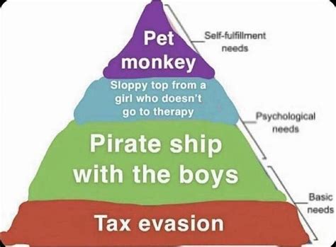 The Funniest Hierarchy Of Needs Pyramid Memes And Parodies