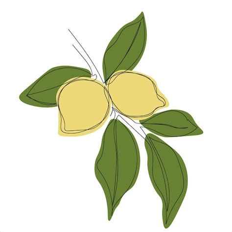 Premium Vector Minimalistic Lemon Branch Line Art