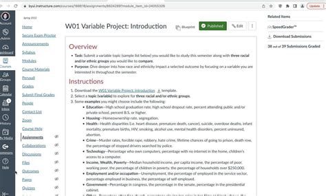 Variable Project Overview