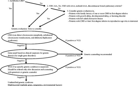 Proposed Algorithm Of Genetic Evaluation And Counseling For Patients