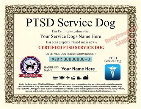 Service Animal Certificate Template Williamson Ga Pertaining To