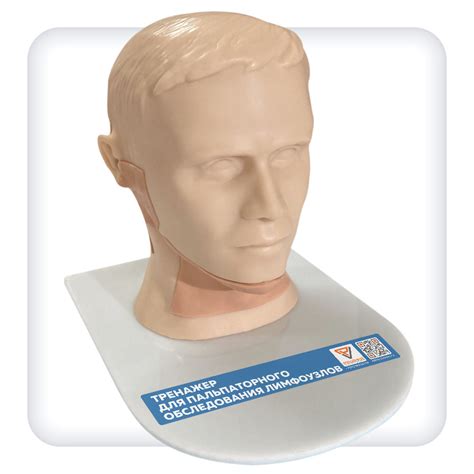 Simulator For Palpatory Examination Of Lymph Nodes