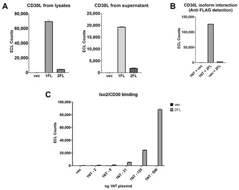 The Opposite Functions Of Cd30 Ligand Isoforms
