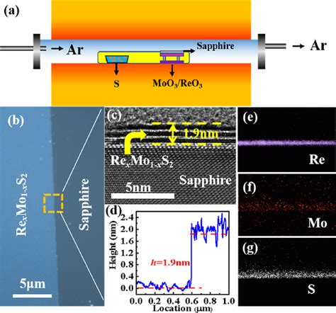 A Diagram Of The Cvd Experimental Device Used In This Work B Download Scientific Diagram