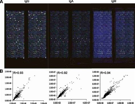 Immunoprofiling Creative Diagnostics