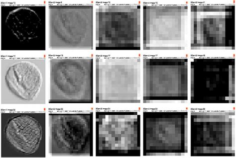 convolution visualization results of the alexnet aj model the columns