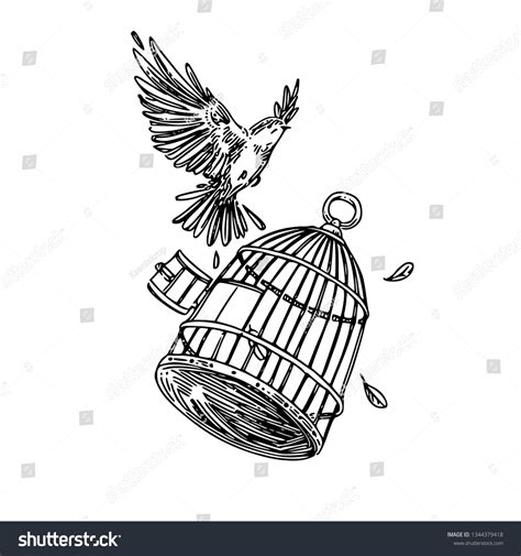 Simple Bird Cage Drawing