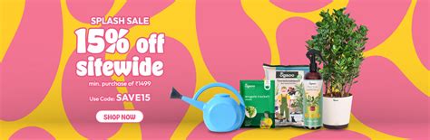 13 Different Types Of Cedar Trees Exploring The Evergreen Charm Of