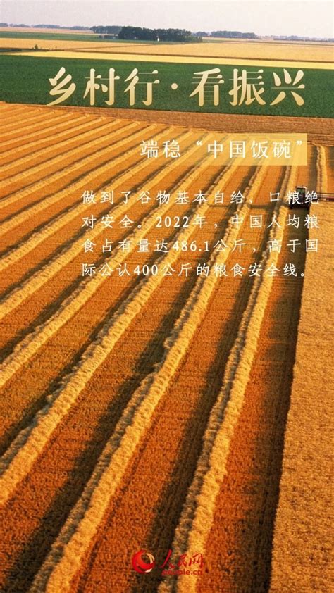 数读中国 六组数据看懂牢牢端稳的“中国饭碗”国内新闻资讯今日农业杂志社官网