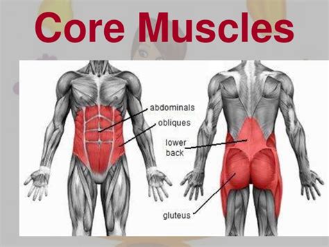 Why Train Your Core Personal Fitness Training Gym In Kolkata Rave