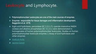 Leukocyte And Lymphocyte Cytotoxicity Pptx
