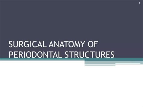 Surgical Anatomy Of Periodontal Structures Pptx