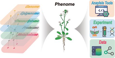 Challenges Of Integrating Omics Data The Left Side Represents The