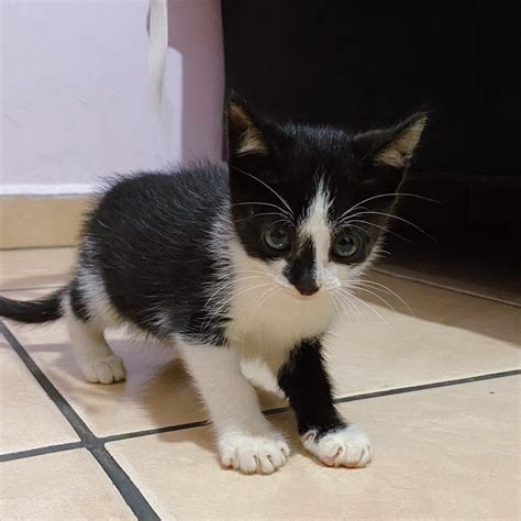 Brenda On Twitter Mini Querida