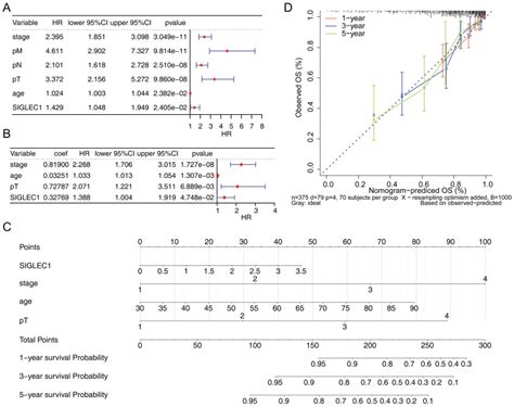Siglec1 As A Novel Prognostic Factor Is Regulated By Yiqi Huayu Jiedu Decoction In Colorectal