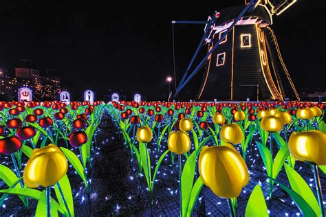 ハウステンボス「光のチューリップガーデン」プロデュース 夜景観光コンベンション・ビューロー