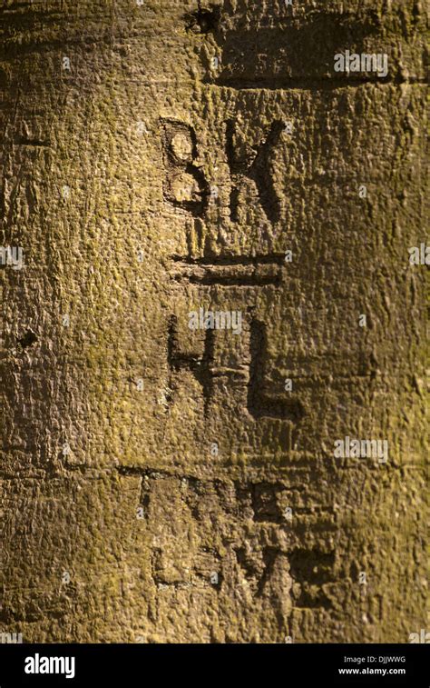 Initials Carved In Tree Trunk Declaration Of Love Stock Photo Alamy