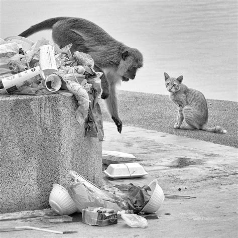 Untitled Nz Scott Galleries Digital Photography Review Digital