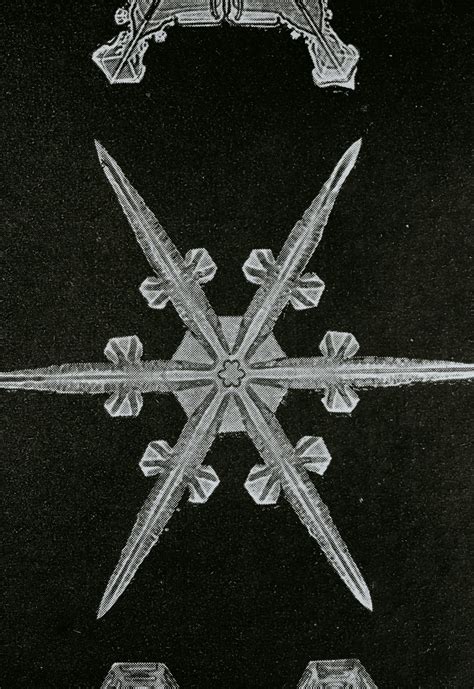 Assi Di Simmetria Del Pentagono Unanalisi Approfondita