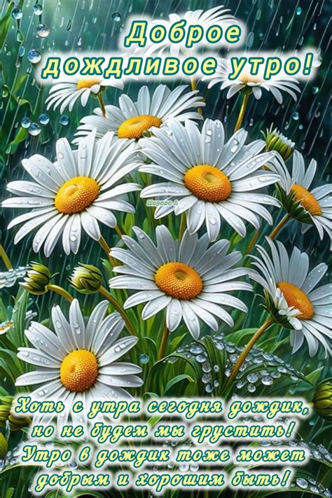 Доброе дождливое утро в 2024 г Дождливое утро Доброе утро Забавные