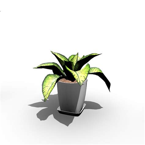 Indoor Plant Design And Decorate Your Room In 3d Interior Design