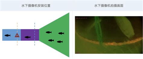 智慧渔业捕捞计数 Csdn博客