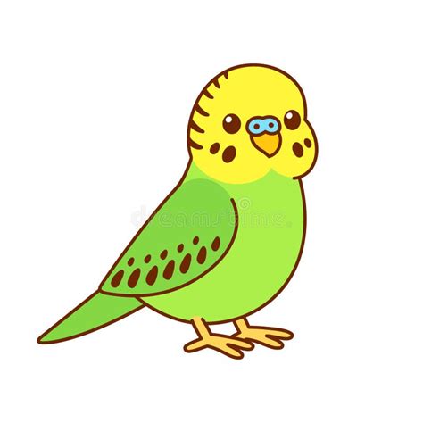 Cute Cartoon Budgie Couple Stock Vector Illustration Of Drawing