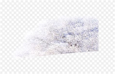 雪地树背景PNG图片素材下载 图片编号yjkkeala 免抠素材网