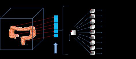 Parallel Execution Of The Algorithm In Cuda Download Scientific Diagram