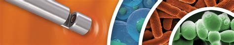 precise biomass growth measurement with cell density sensors