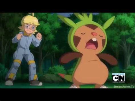 Chespin Weight Gain Youtube