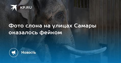 Фото слона на улицах Самары оказалось фейком Kp Ru