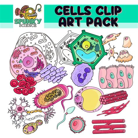 Biology Cells Clipart