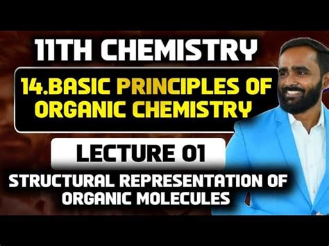 Understanding Functions And Procedures In Python A Comprehensive Guide