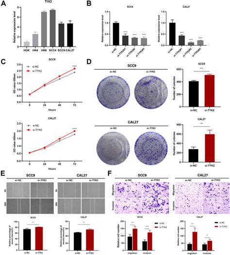 Frontiers Tyk2 Correlates With Immune Infiltration A Prognostic